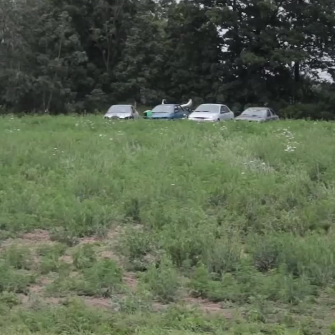 The ultimate battle of automotive DIY!