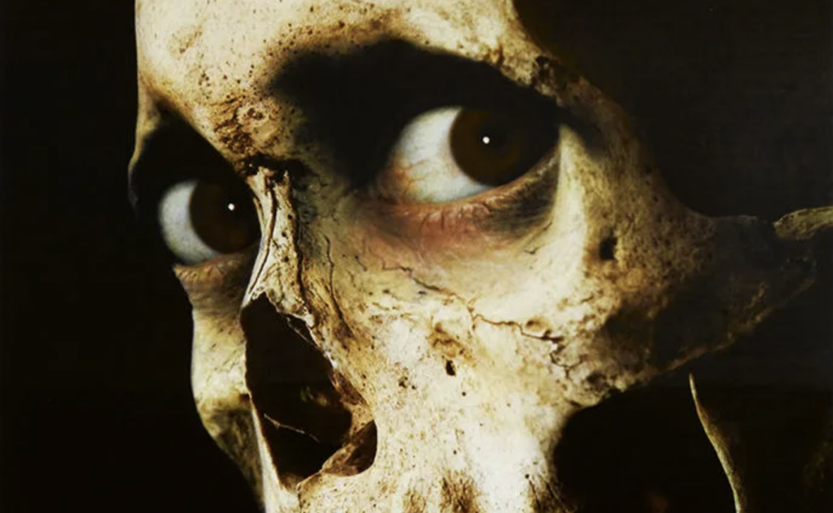 Creepy Duck’s ‘Evil Dead Burn’ fan art pays tribute to ‘Evil Dead 2’