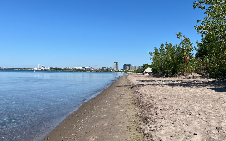 Toronto's top 5 beaches according to Sun readers