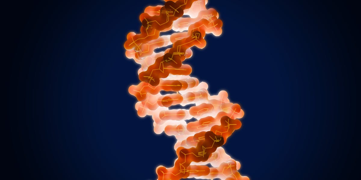 Scientists found 71 genetic fingerprints of human history. Not all of ...