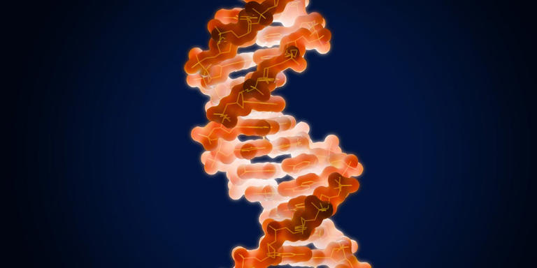 Scientists found 71 genetic fingerprints of human history. Not all of ...