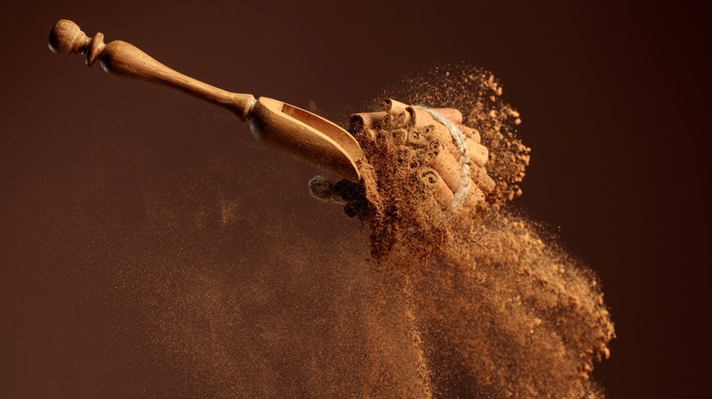 What really happens when you take cinnamon pills