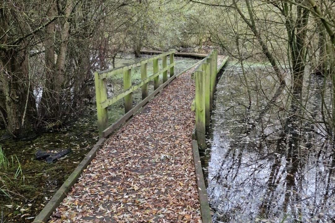 Thorpe Meadows Board Walks to close for repairs