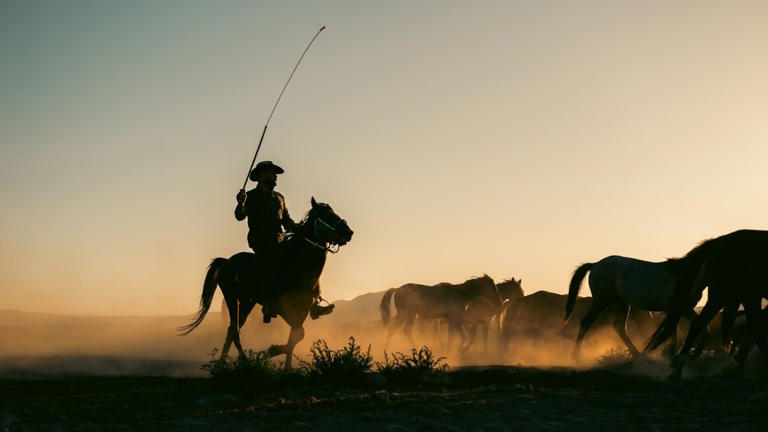 How cowboy culture captured the American imagination of an entire ...