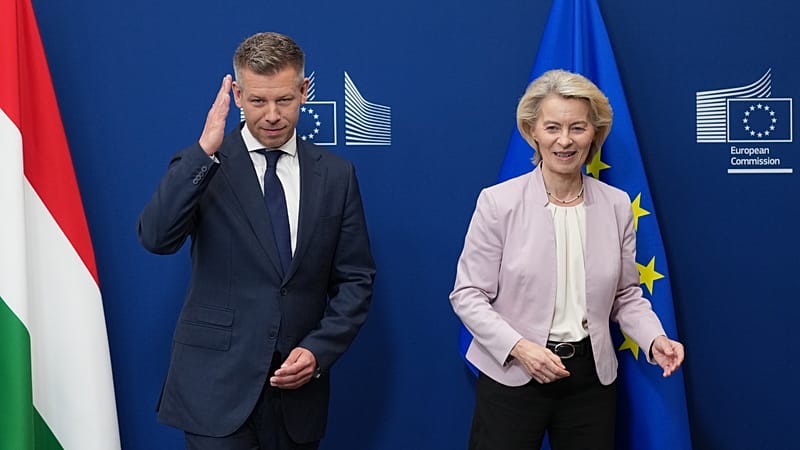 Hungary unlocks €16.4bn in EU funds after Magyar secures deal with Brussels