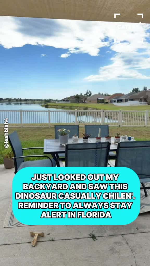 Woman shocked after spotting alligator behind her home