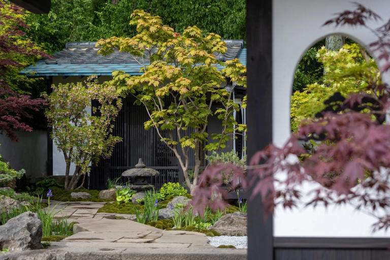 Beautiful Japanese garden ideas to make even the smallest space feel ...