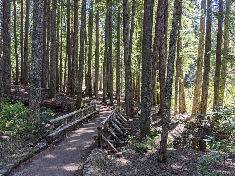 Oregon’s shortest scenic trail is only 0.6 miles, but it passes a ...