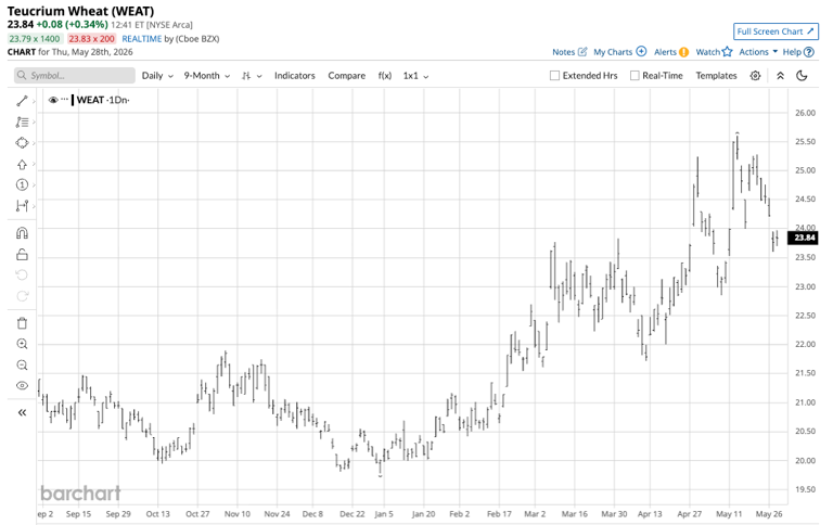 Can wheat continue to rally?