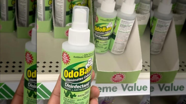 What's new at Dollar Tree: 6 kitchen finds to check out in 2026
