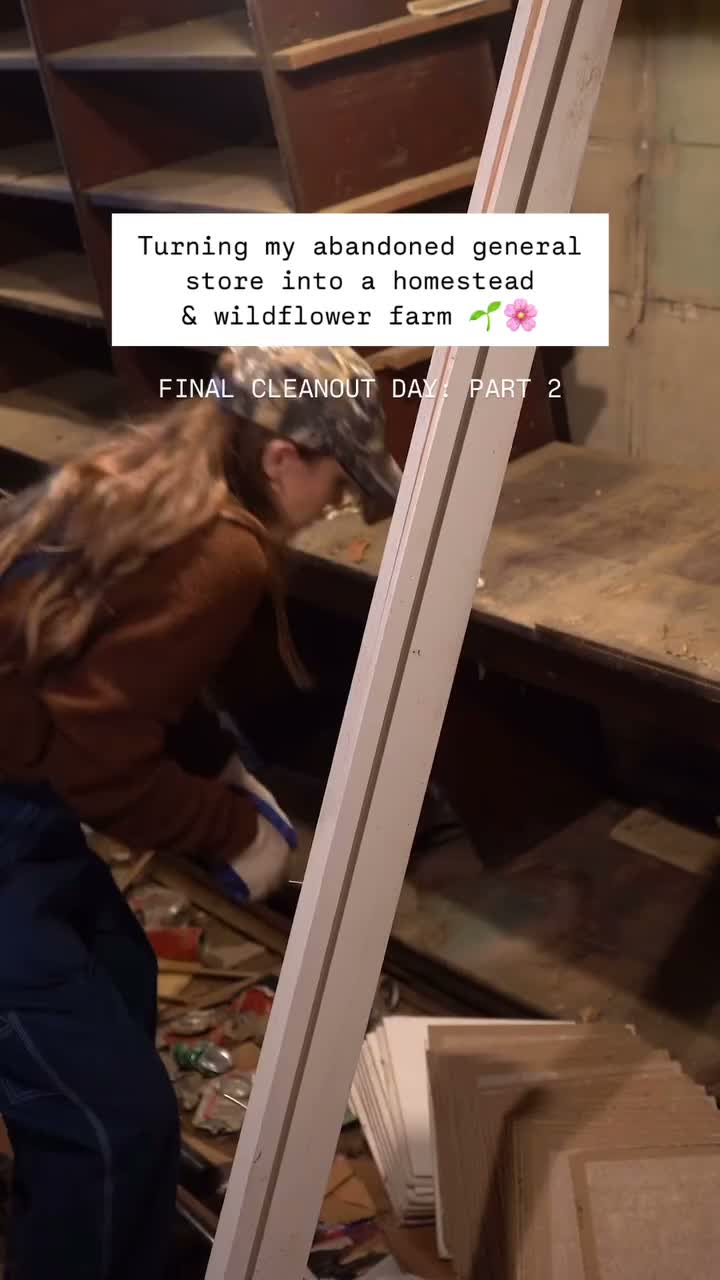 How I transformed an old house into a homestead and wildflower farm