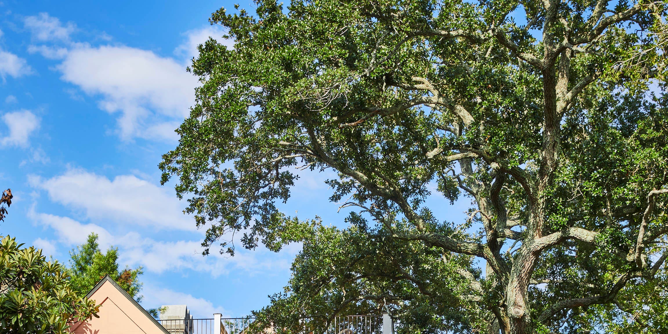 This 18th-century Charleston grande dame became a joyful family home ...