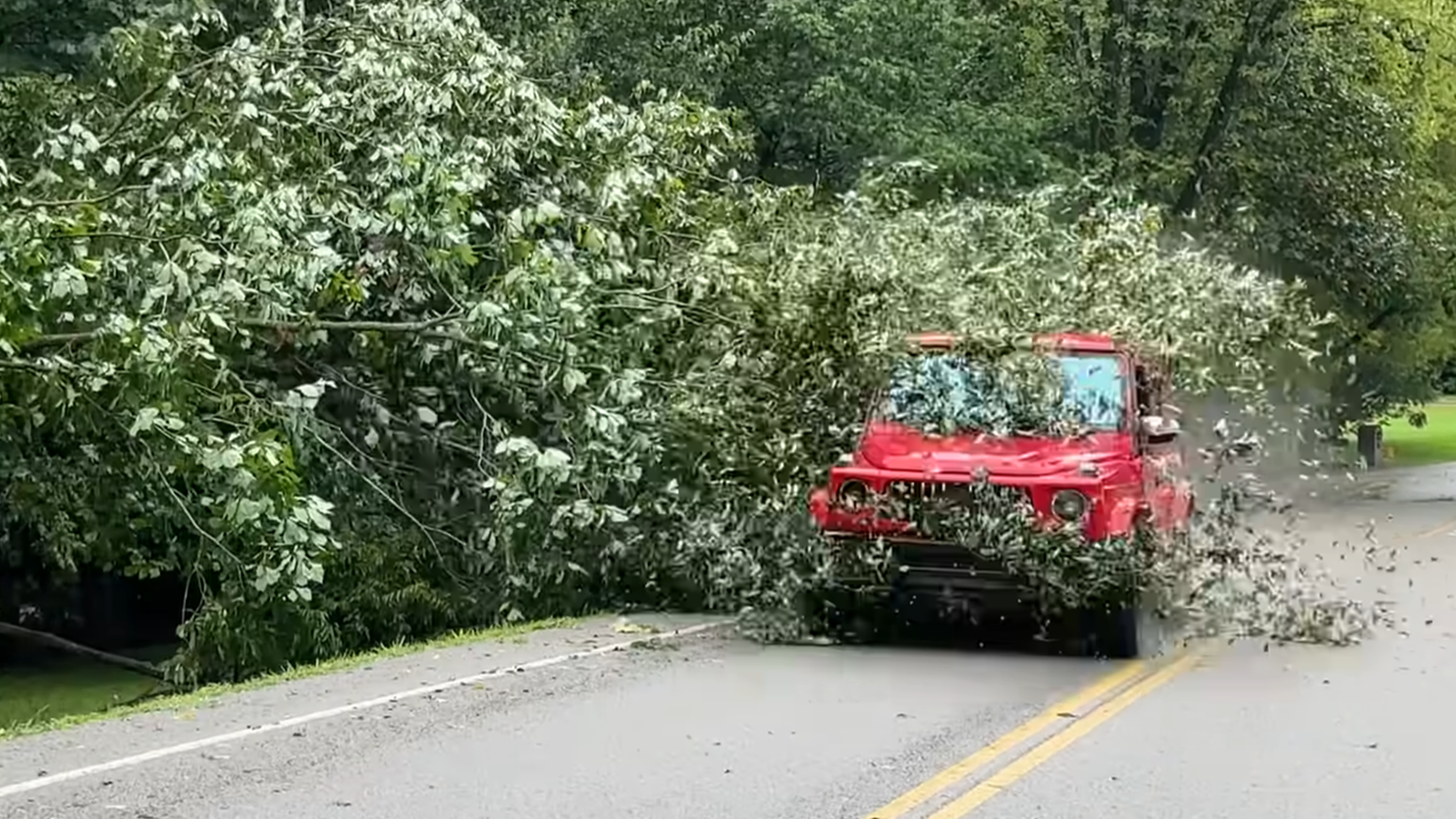 He tried to clear a fallen tree - then drove straight into it