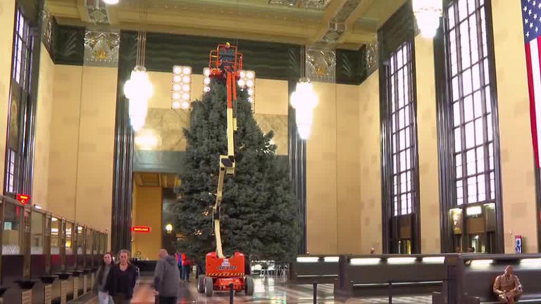 Durham Museum seeks Christmas tree nominations