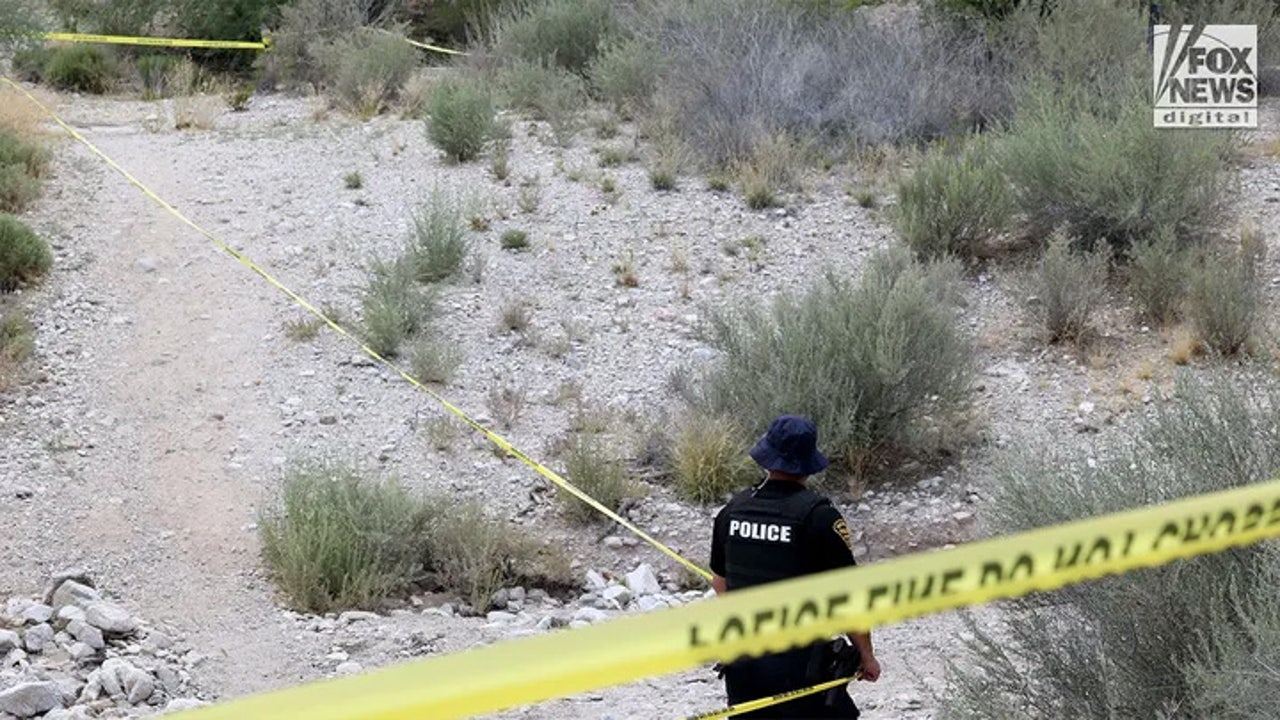 Nancy Guthrie: Expert says human bones found miles from her home are up ...