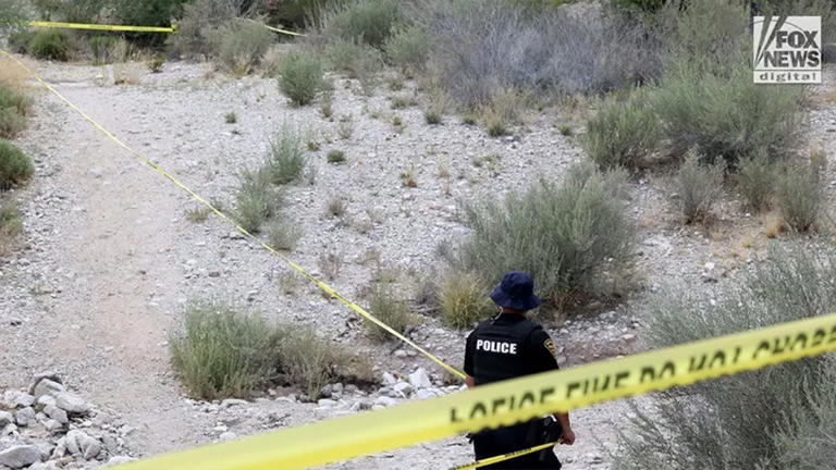 Nancy Guthrie: Expert says human bones found miles from her home are up ...