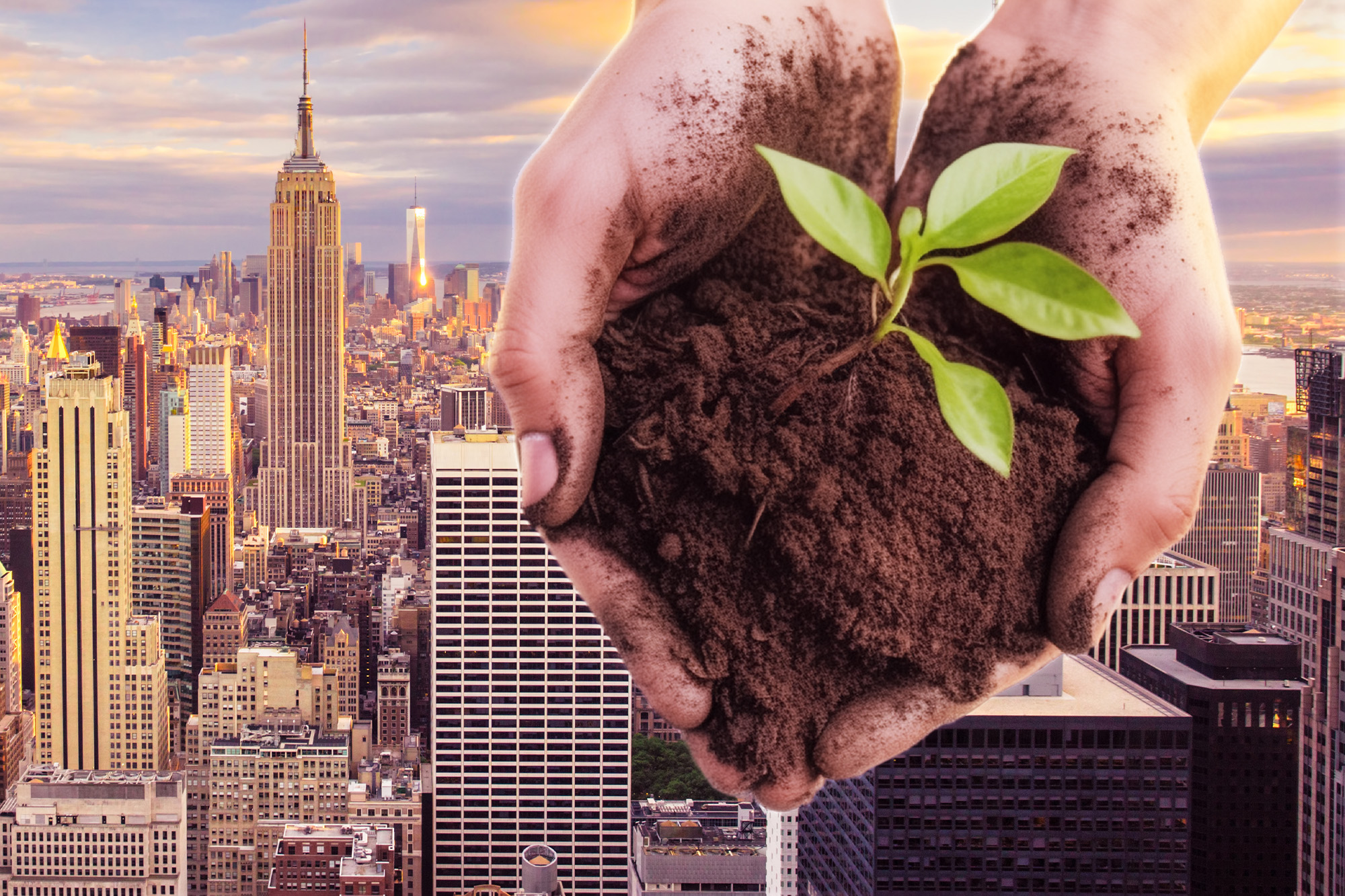 Big Apple gives away 5M pounds of compost produced from city’s recycled ...