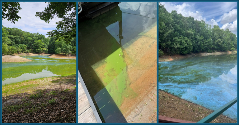 Harmful algal bloom recreational watch issued for Lake Hartwell, SCDES says
