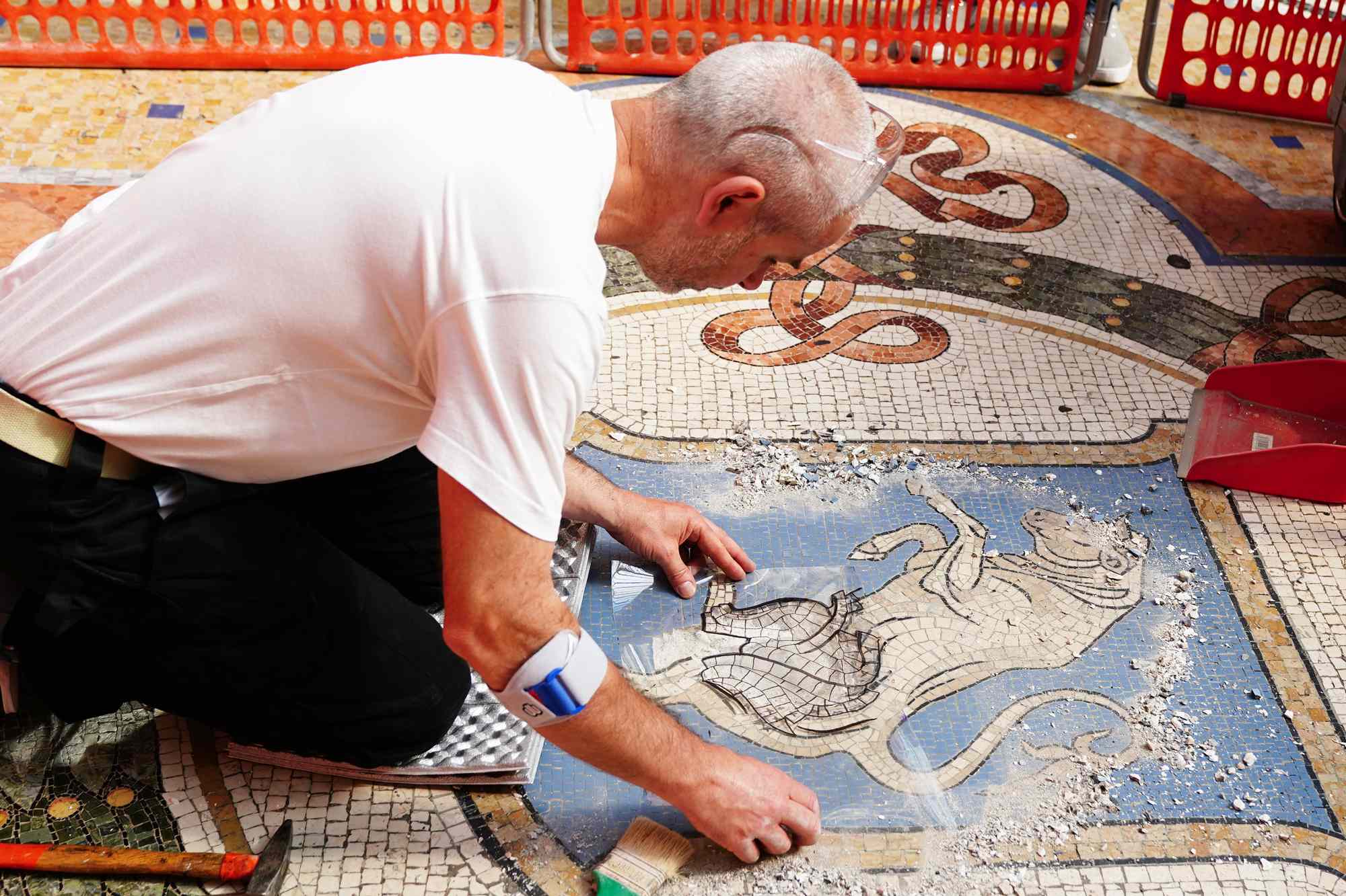 Italy restores lucky testicles on 19th century bull mosaic worn down by ...