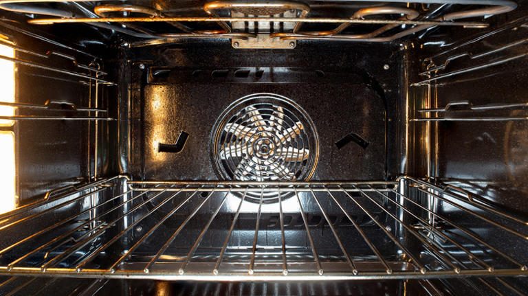 What does the fan symbol on the oven mean?
