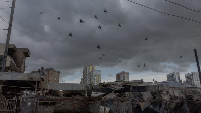 Ukraine scores major battlefield gains, Russia stalls
