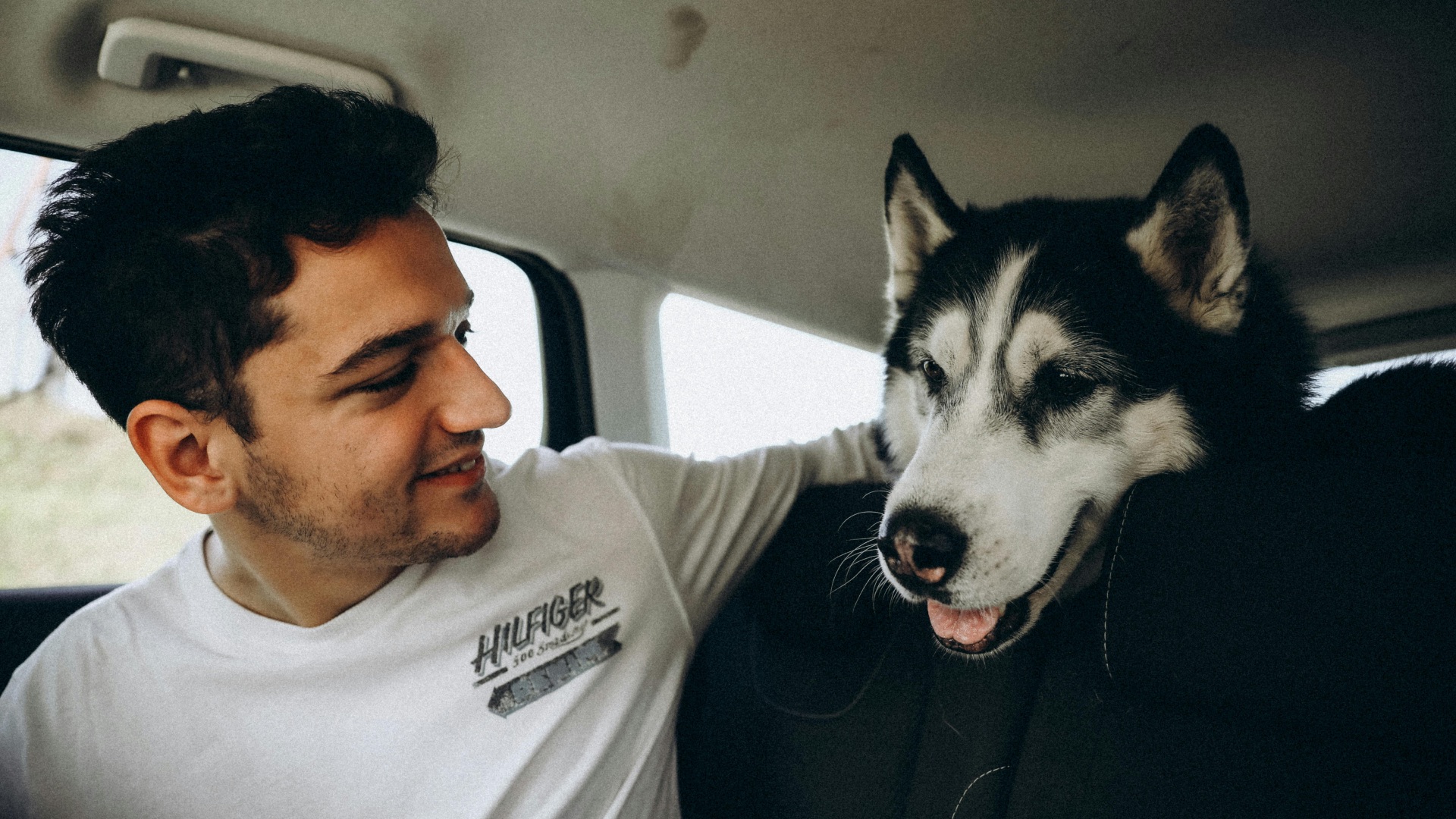 10 perks of driving with a pet & 10 downsides to consider