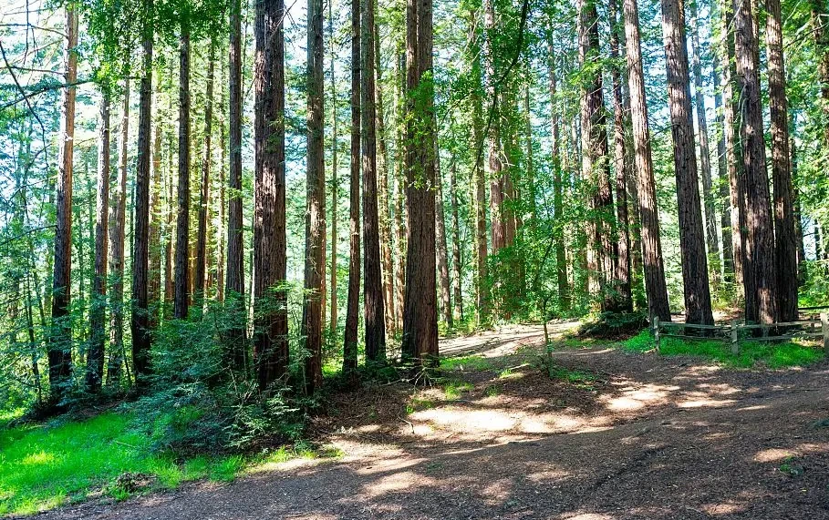California’s most breathtaking hiking escapes to explore