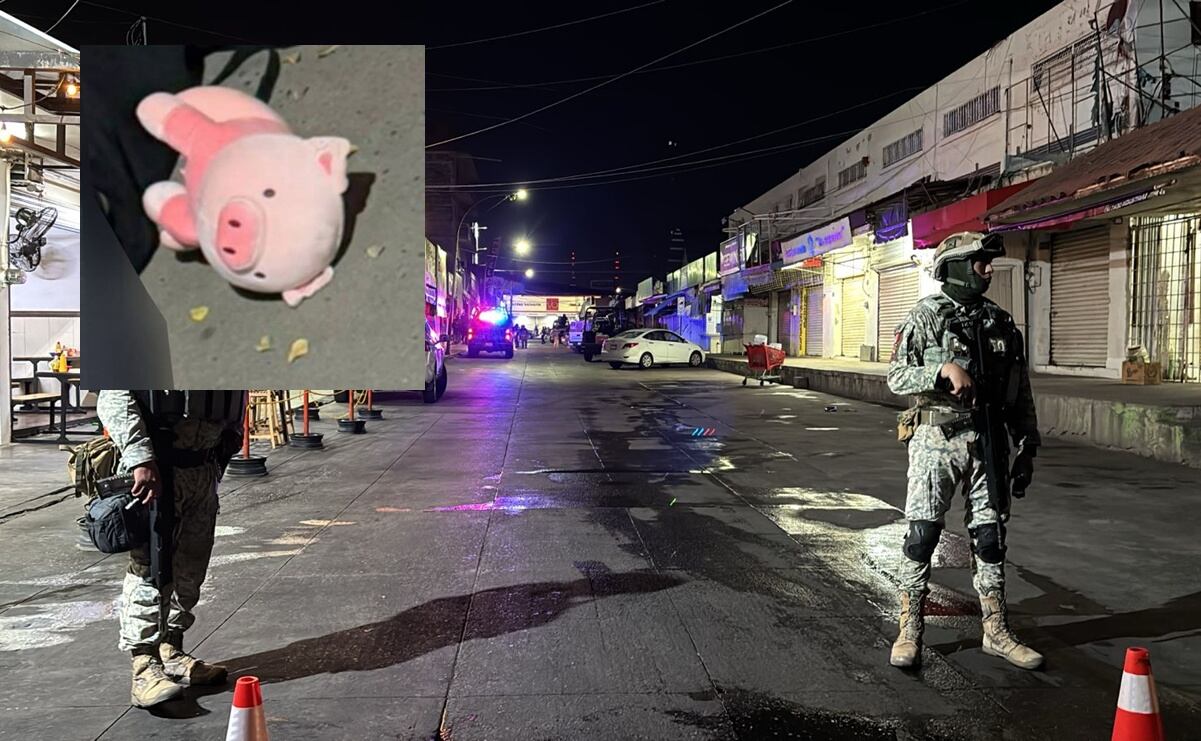 Hallan otro cerdito de peluche junto al cuerpo de un hombre asesinado a ...