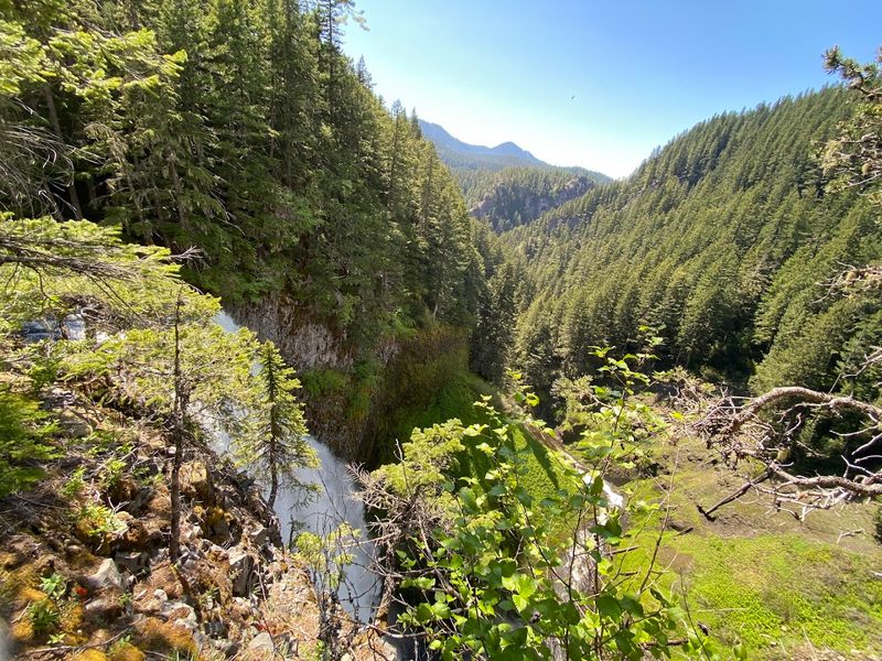 Oregon’s shortest scenic trail is only 0.6 miles, but it passes a ...