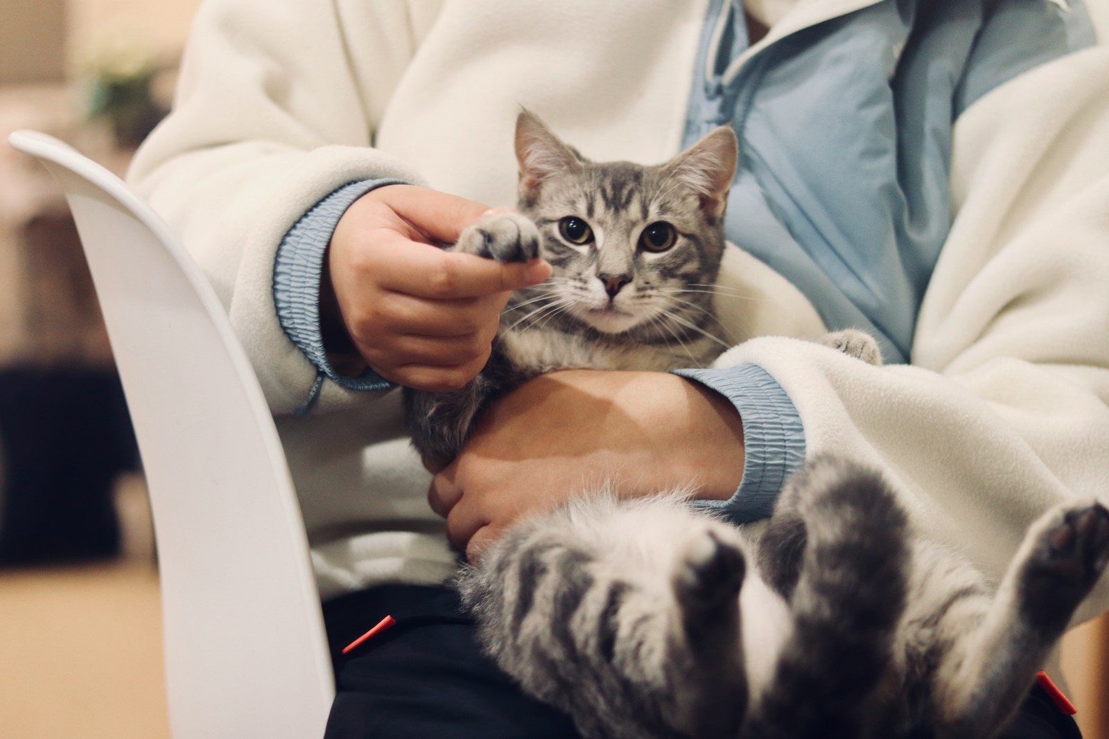 He stayed home sick and discovered his cat’s secret