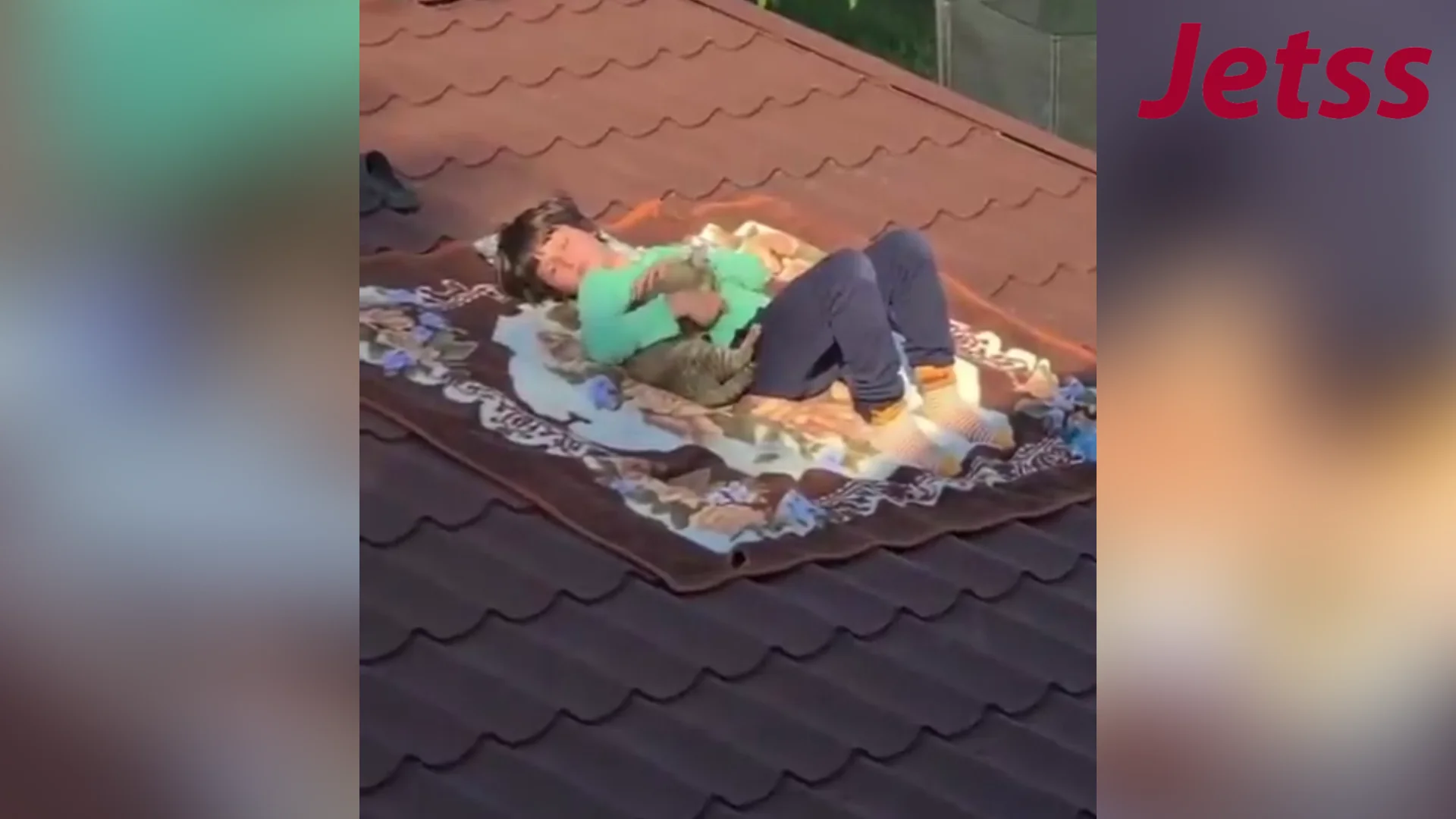 Menino faz amizade com gato do vizinho e dupla viraliza ao tomar sol no ...