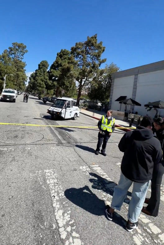 Santa Monica on lockdown after report of mountain lion in residential area
