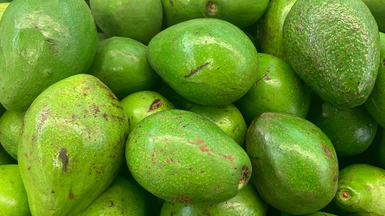 28 foods you should never refrigerate and how to store them instead