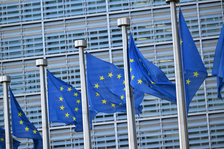 Visitors to Europe are being hit with hours-long lines due to the EU’s ...