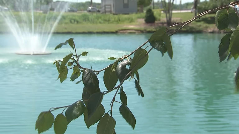 Enjoy the weekend: Sun-filled days, crisp & cool nights