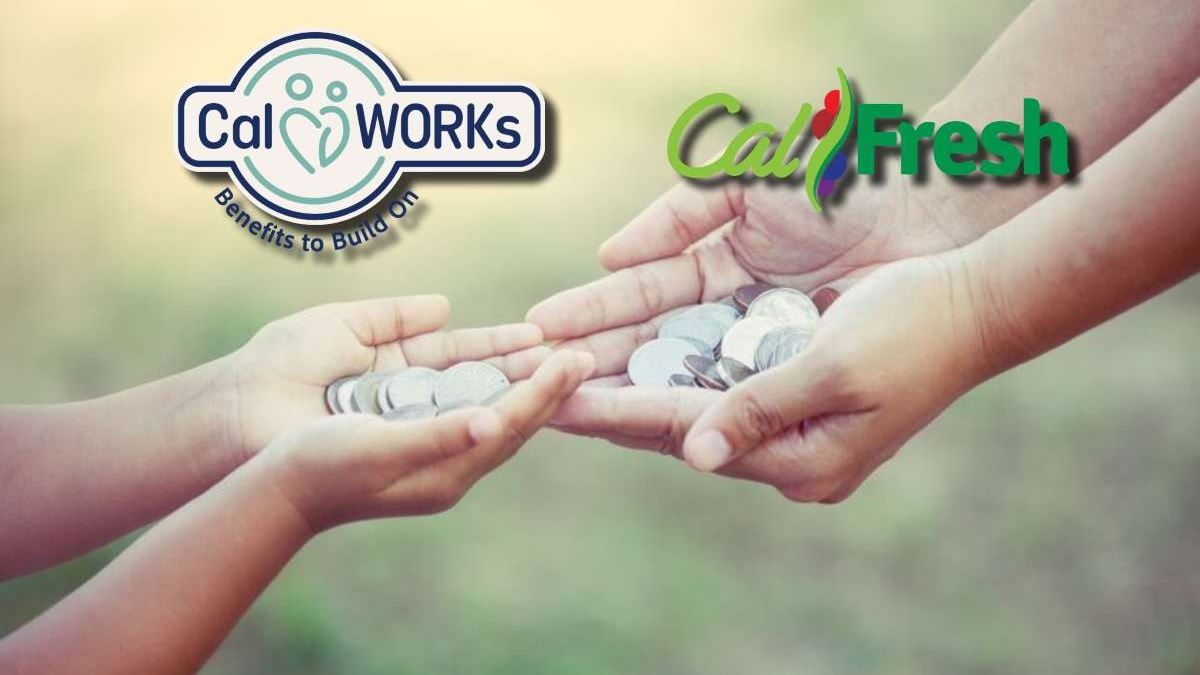 Starting June 1, 660,000 Californians face new CalFresh work requirements