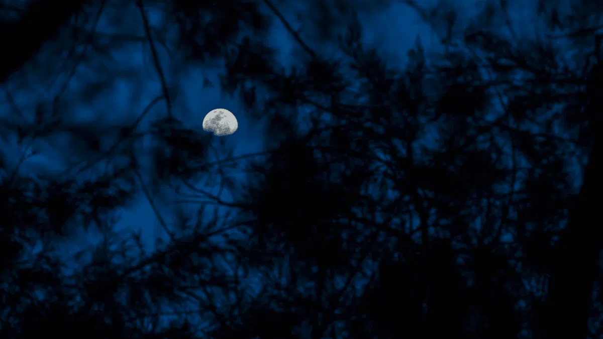 Luna azul 2026: cuándo y cómo ver en México el raro fenómeno ...