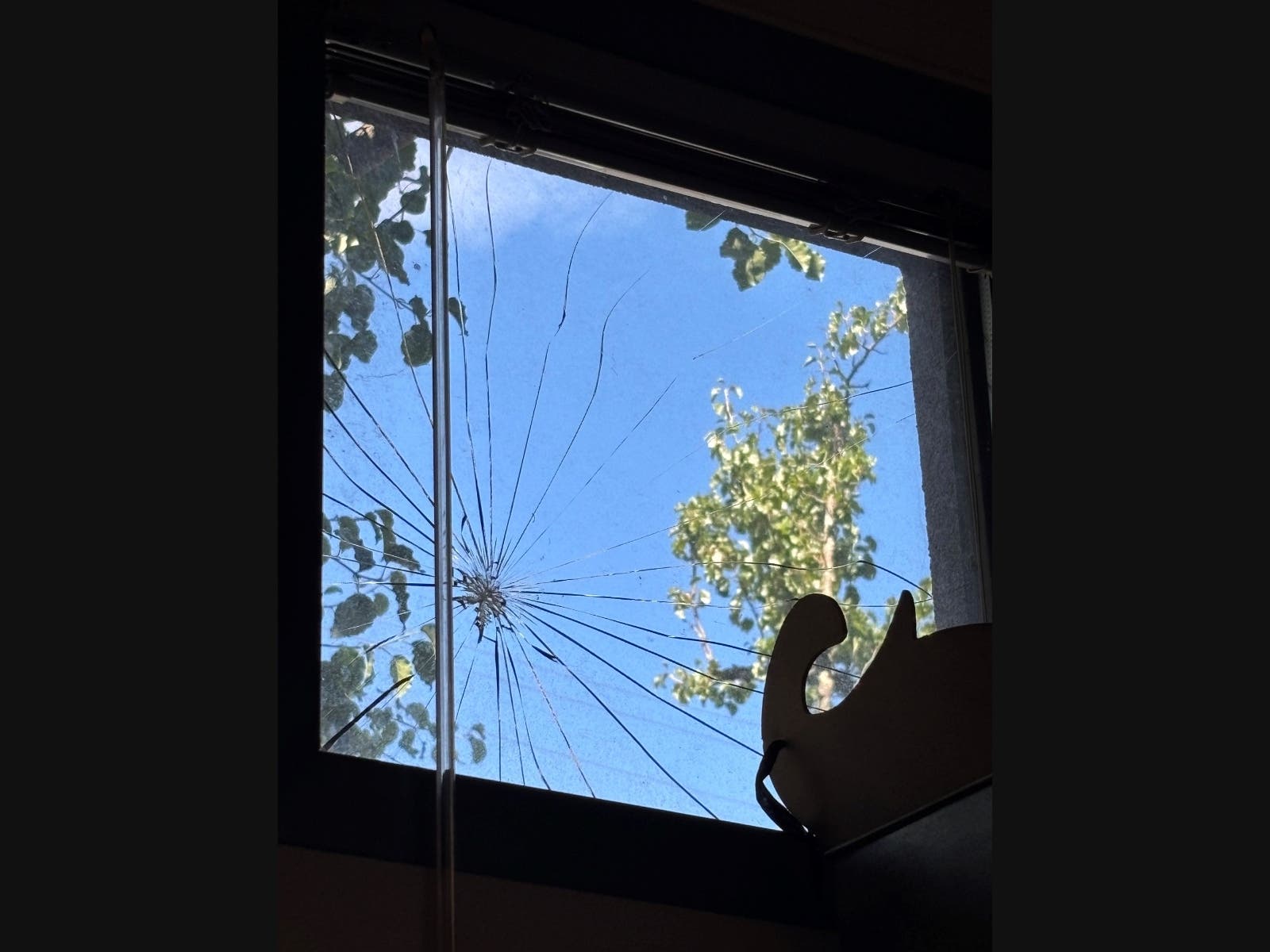 Teen arrested after throwing rock at Healdsburg Police Station window: HBPD