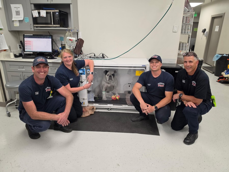 Layton firefighters rescue dog from burning building and successfully ...