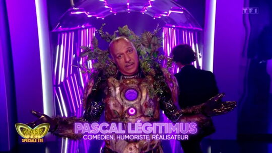 Mask Singer 2026 : quelle célébrité se cachait sous le costume du ...