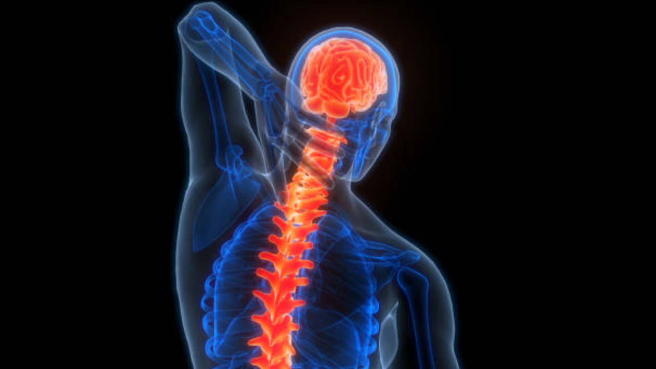 The first six hours after a spine injury could determine whether you ...