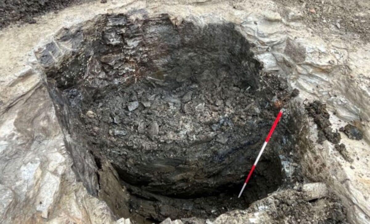 Archaeologists dug into an 800-year-old toilet pit and found a ...