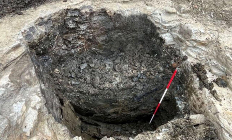 Archaeologists dug into an 800-year-old toilet pit and found a ...