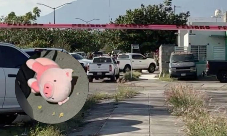 Colocan cerdito de peluche rosa junto al cadáver de un joven en ...