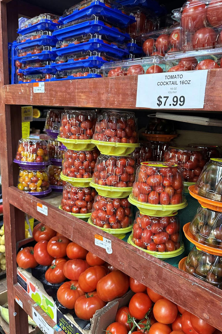 Tomatoes become latest symbol of America’s affordability squeeze
