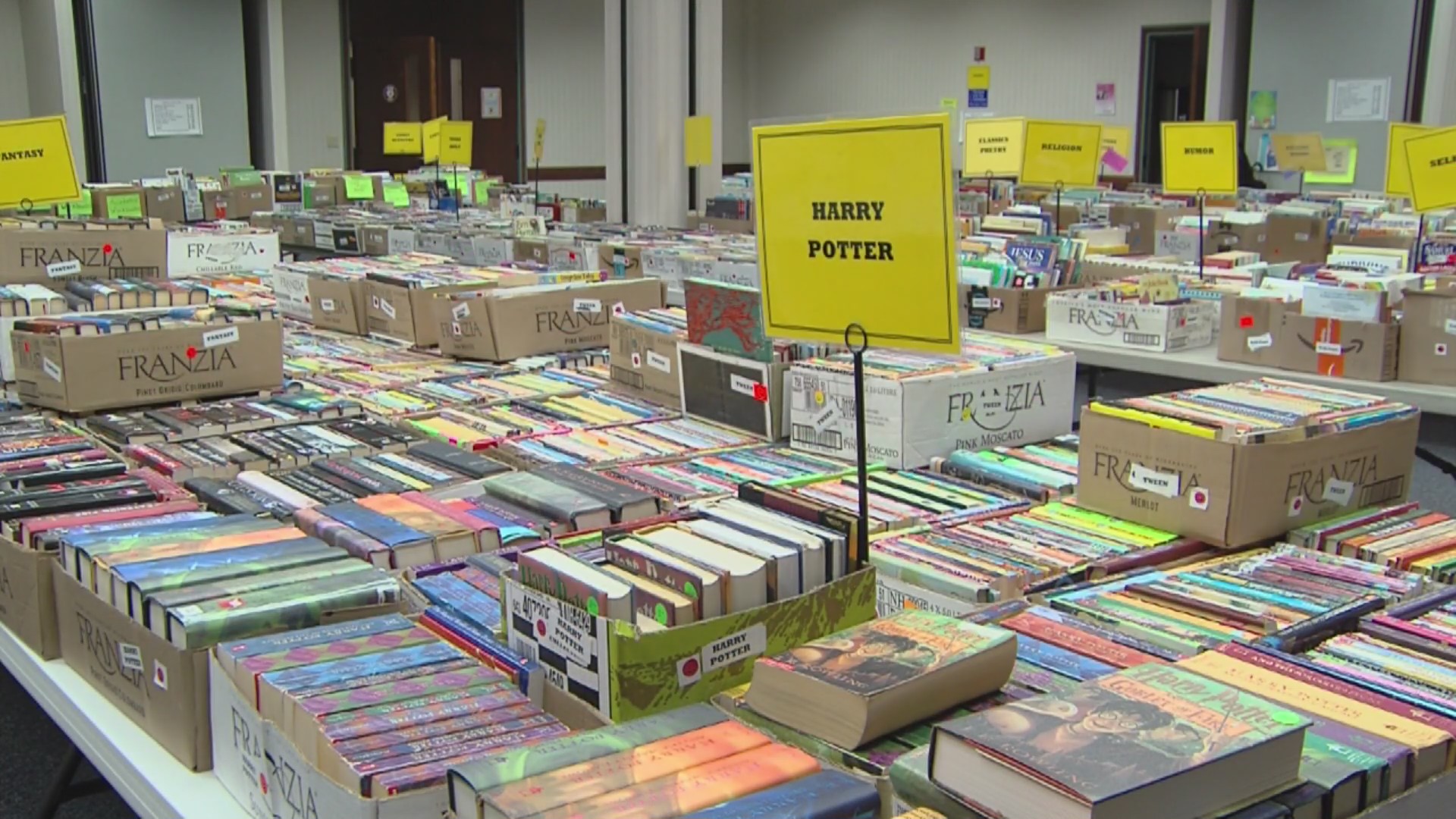 Children's book sale raises funds for library programs | 28/22 News
