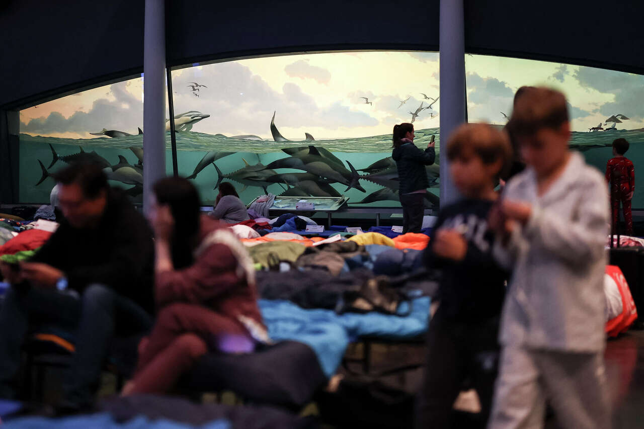 What it's like to sleep over at the American Museum of Natural History