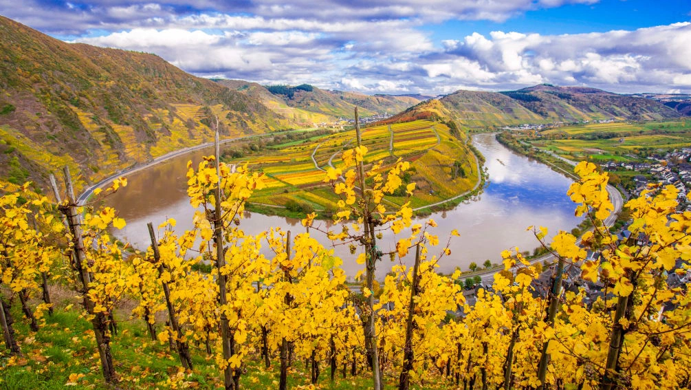 Drift through Germany’s fairytale river valleys