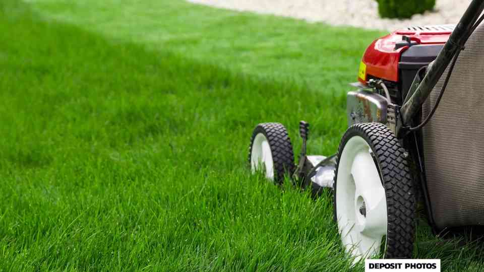 June lawn care, dealing with dandelions and more... grass clippings
