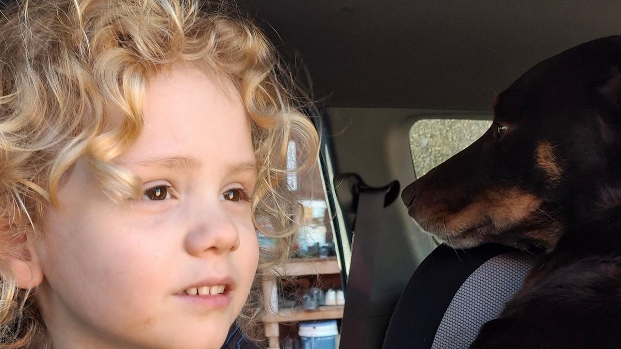 Chilling new detail in Gus disappearance